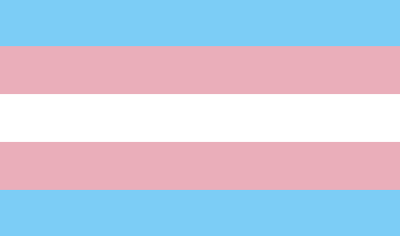 Here Is A Quick Guide To Some Of The Pride Flags You Saw Last Month