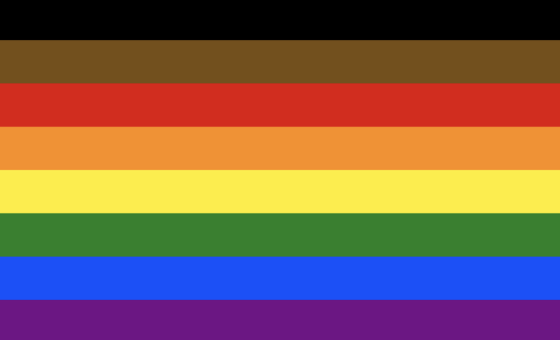 Here Is A Quick Guide To Some Of The Pride Flags You Saw Last Month